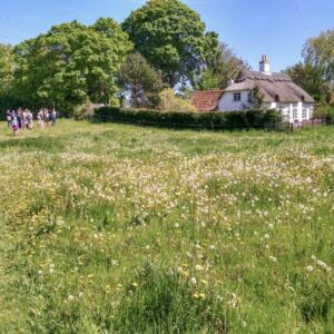 South Ormsby Estate - Visit Lincolnshire
