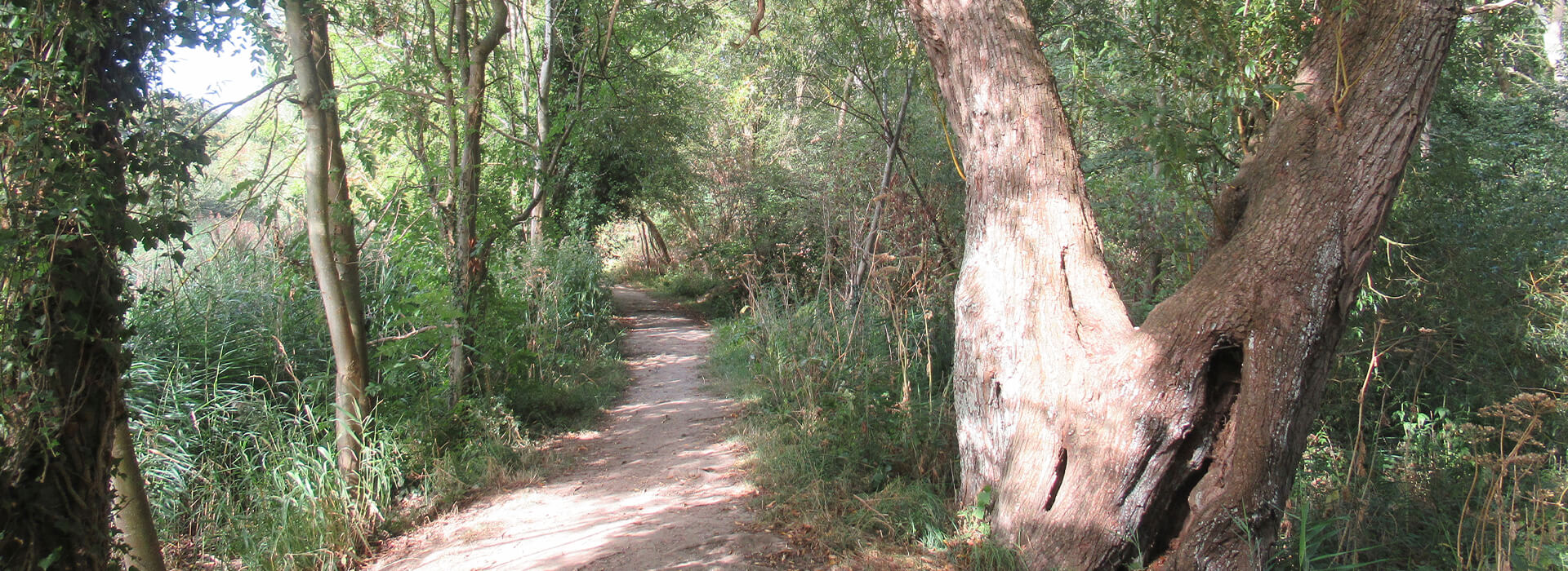 Ruskington One River Walk Short - Visit Lincolnshire
