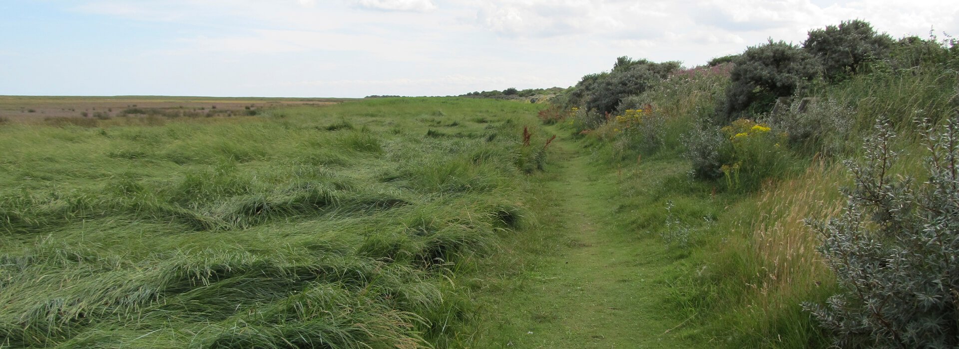 Saltfleet Walk Two - Visit Lincolnshire