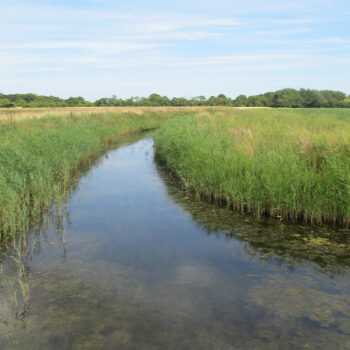 Saltfleet Walk Two - Visit Lincolnshire