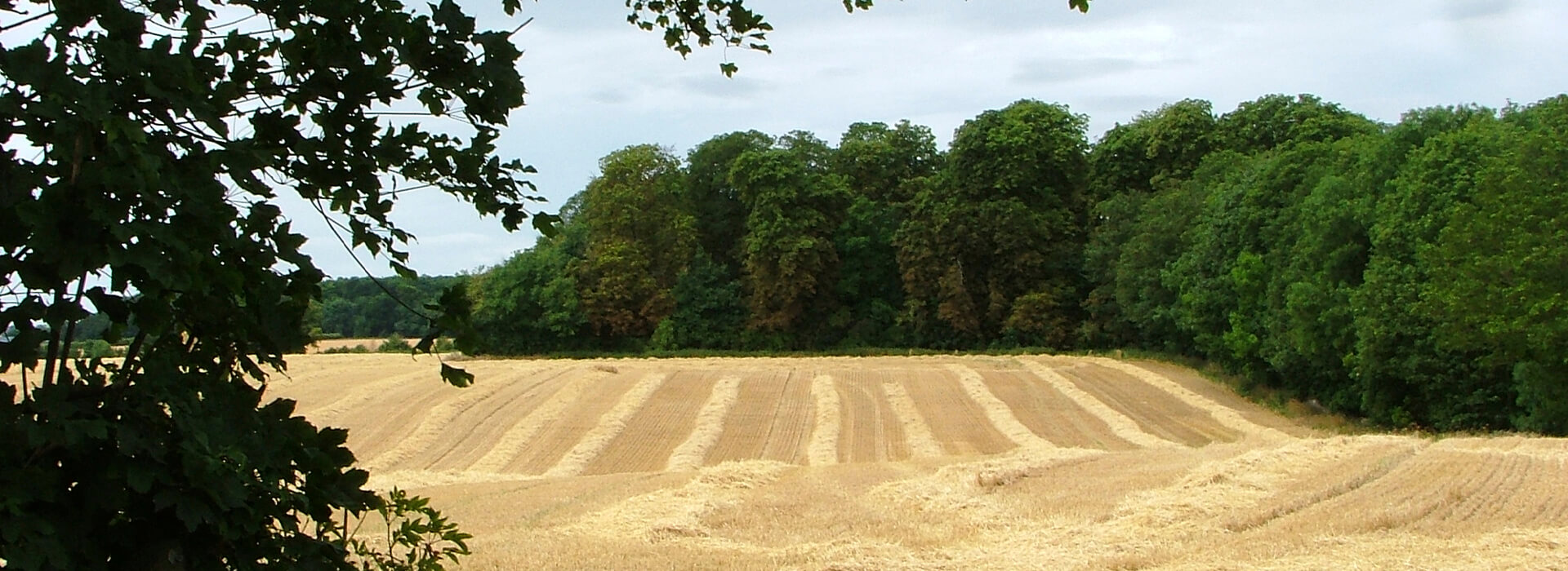Sleaford Walk Short - Visit Lincolnshire