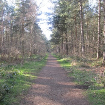 Viking Way Link Route To Market Rasen Walk - Visit Lincolnshire