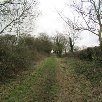 Viking Way Shorts Wellingore and Welbourn - Visit Lincolnshire