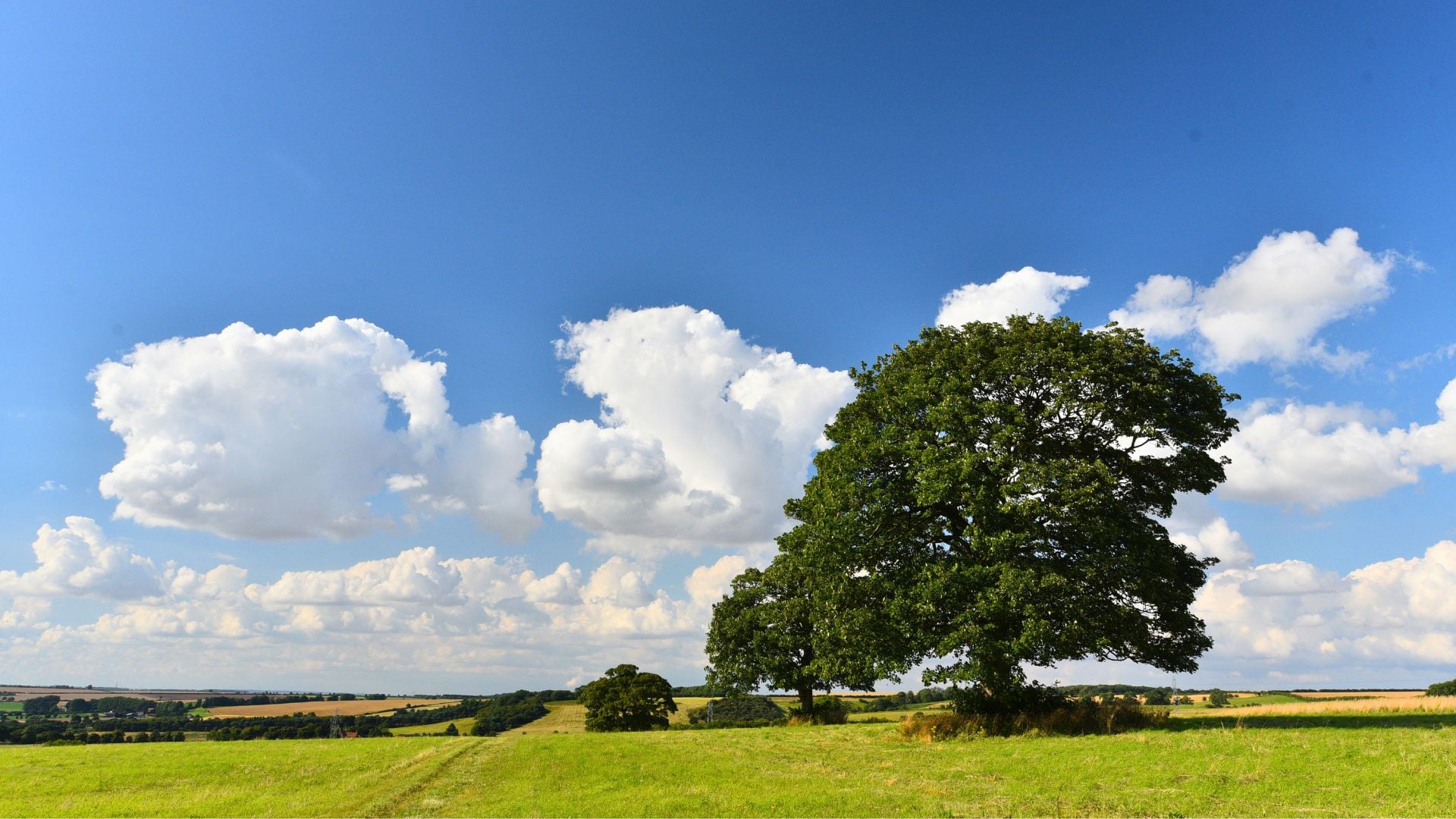 Lincolnshire Wolds Celebrates the BIG 50 - Visit Lincolnshire