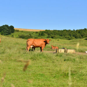 Nettleton In Ore Of Our Past Walk - Visit Lincolnshire
