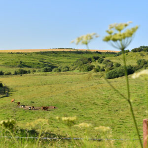 Nettleton In Ore Of Our Past Walk - Visit Lincolnshire