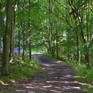 Nettleton In Ore Of Our Past Walk - Visit Lincolnshire