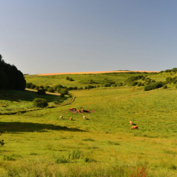 Nettleton In Ore Of Our Past Walk - Visit Lincolnshire