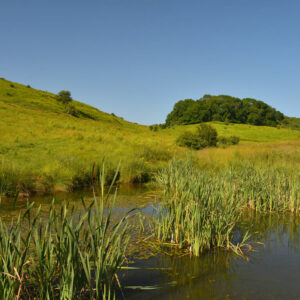 Nettleton In Ore Of Our Past Walk - Visit Lincolnshire