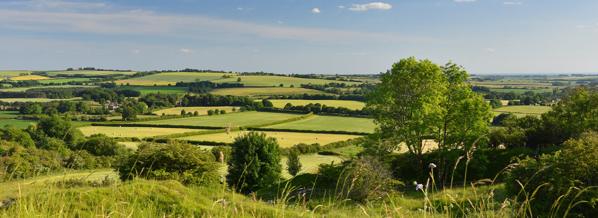 Goulceby & Asterby via Red Hill Walk - Visit Lincolnshire