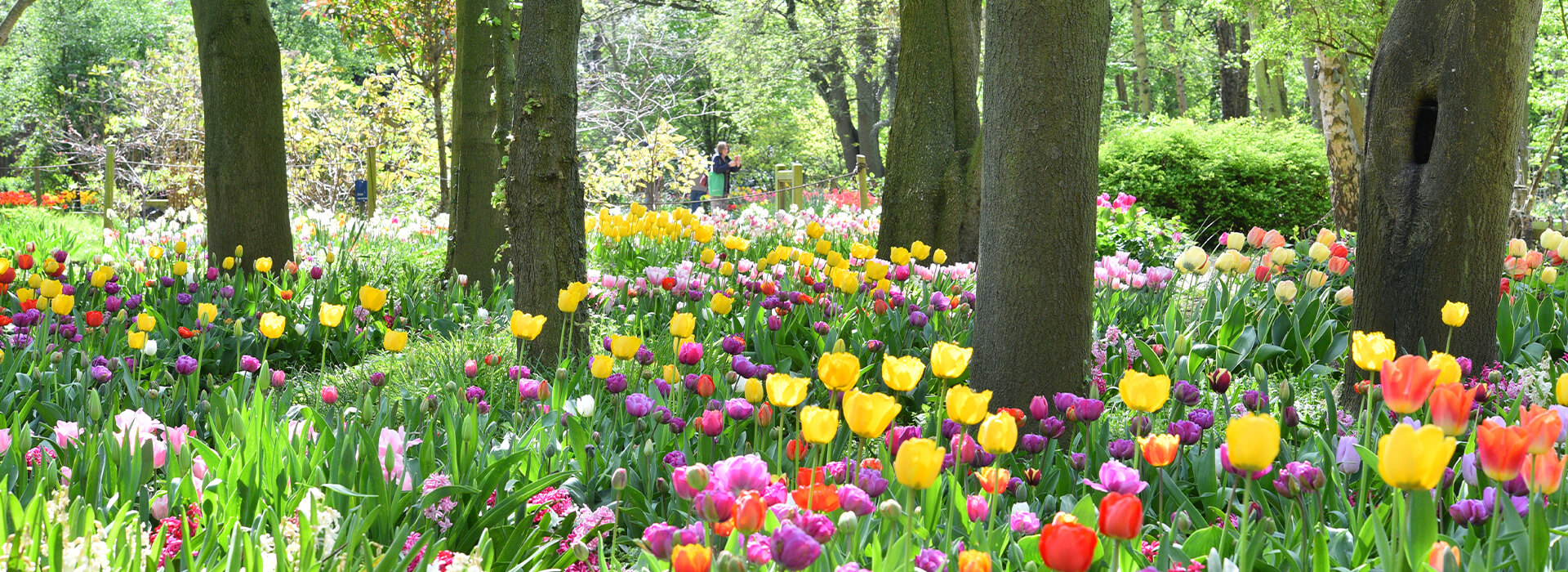 Walking in Spalding - Visit Lincolnshire