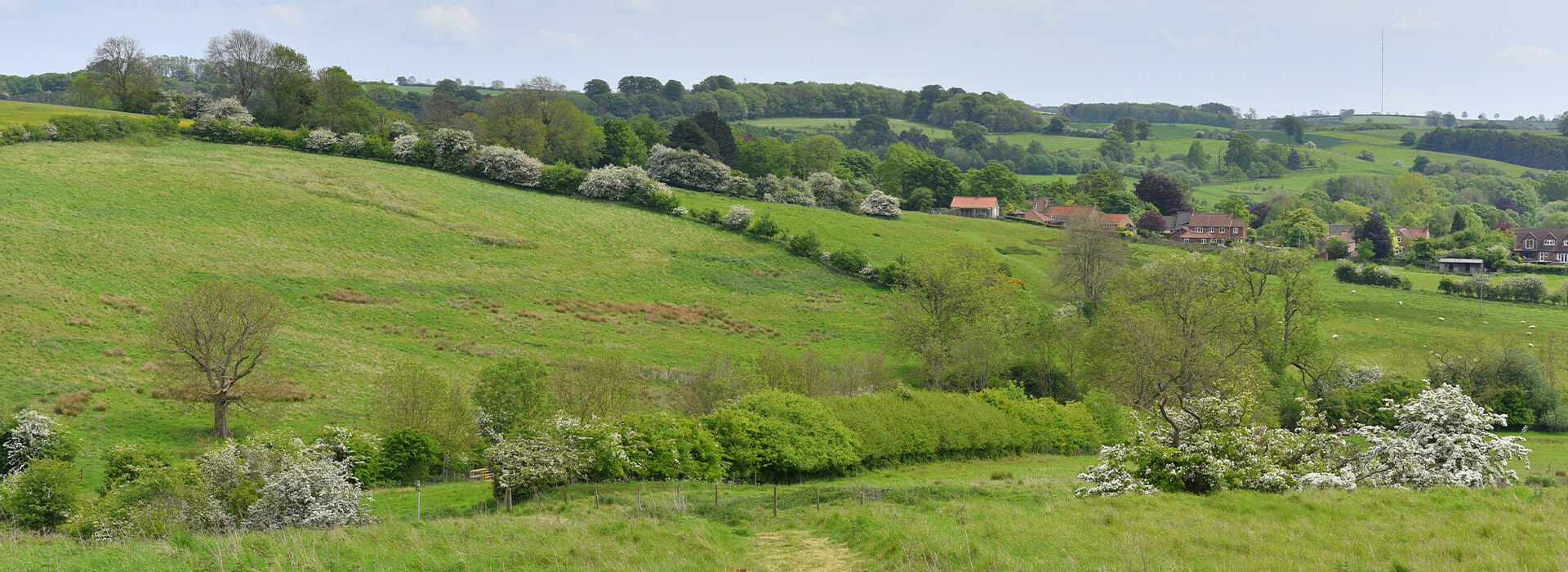Walking in Tealby - Visit Lincolnshire