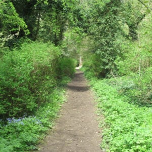 Viking Way 02 Barnetby Le Wold To Caistor Walk - Visit Lincolnshire