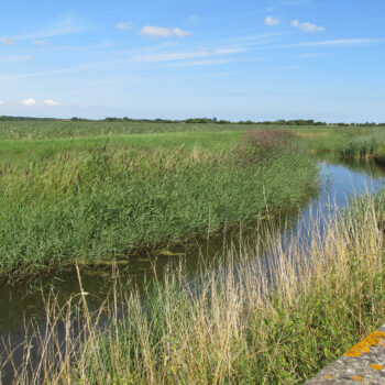Saltfleet Walk One - Visit Lincolnshire