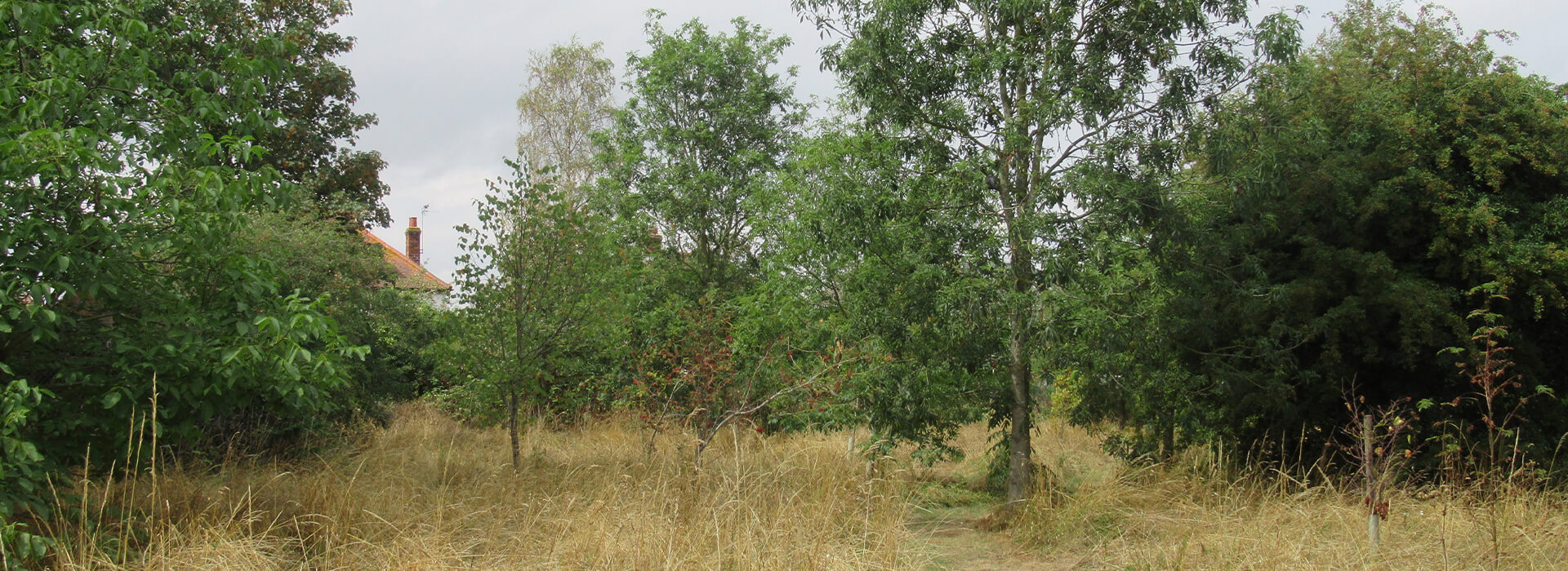 Ruskington Two Dorrington Walk - Visit Lincolnshire