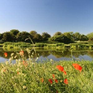 Water Rail Way Cycle Route - Visit Lincolnshire