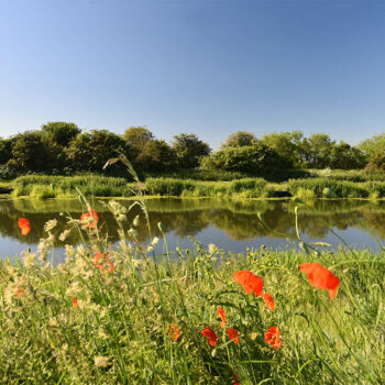 Water Rail Way Cycle Route - Visit Lincolnshire