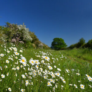 Viking Way - Visit Lincolnshire