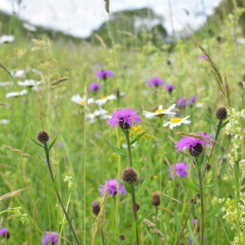 Viking Way - Visit Lincolnshire