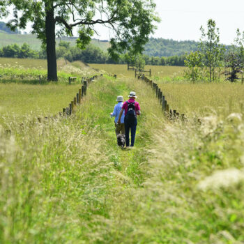 Viking Way - Visit Lincolnshire