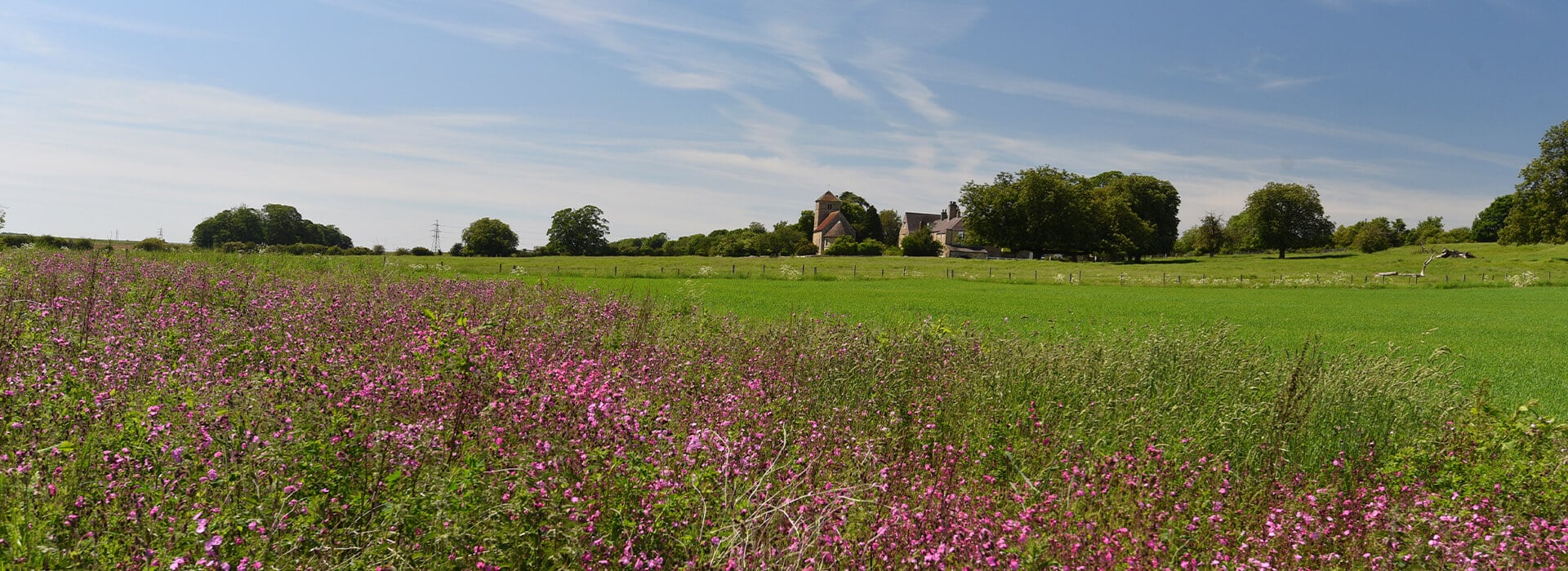 Viking Way 07 Bardney To Lincoln Walk - Visit Lincolnshire