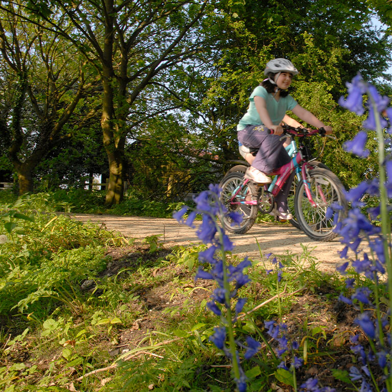 Viking Way 06 Horncastle To Bardney Walk - Visit Lincolnshire