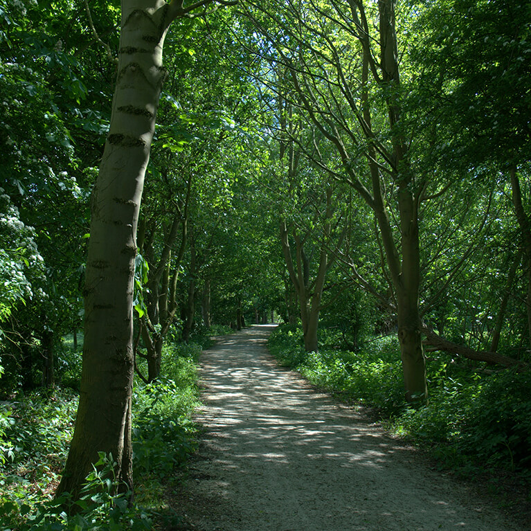 Viking Way 06 Horncastle To Bardney Walk - Visit Lincolnshire