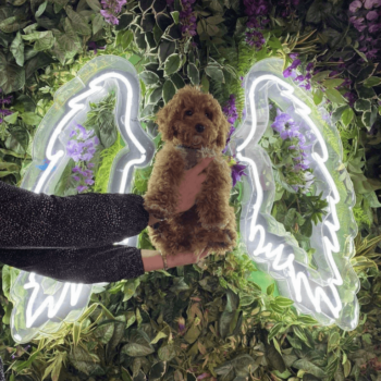 Craft Lincoln - Visit Lincolnshire