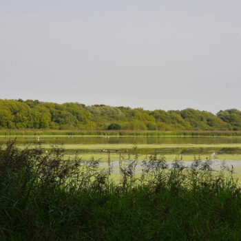 Lincoln | Visit Lincolnshire