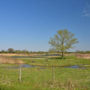 The Deepings - Visit Lincolnshire
