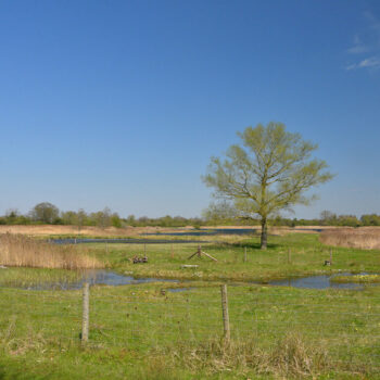 The Deepings - Visit Lincolnshire