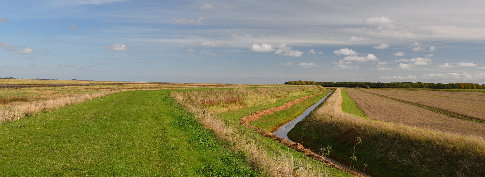 Holbeach St Matthew & Moulton Marsh Long Horse Ride - Visit Lincolnshire