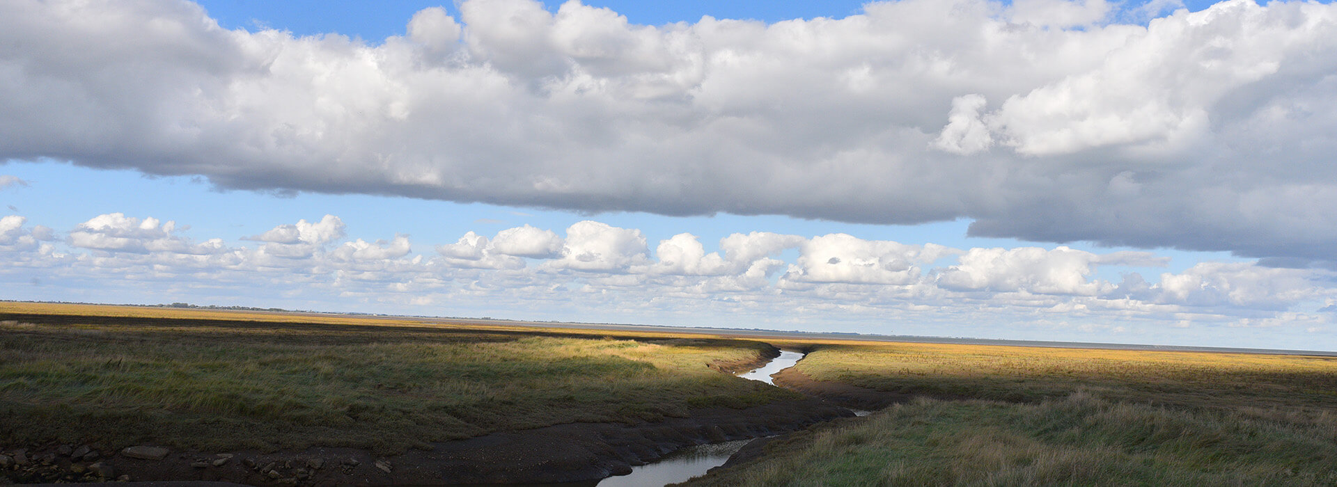 Holbeach St Matthew & Moulton Marsh Short Horse Ride - Visit Lincolnshire