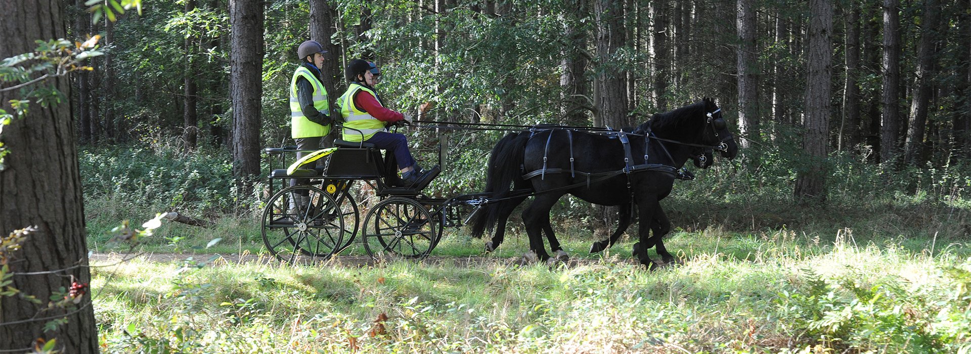 The Lindsey Trail - Visit Lincolnshire