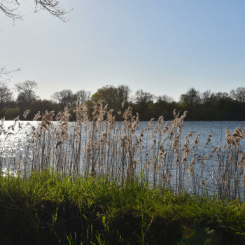 The Deepings - Visit Lincolnshire