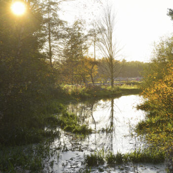 Market Rasen - Visit Lincolnshire