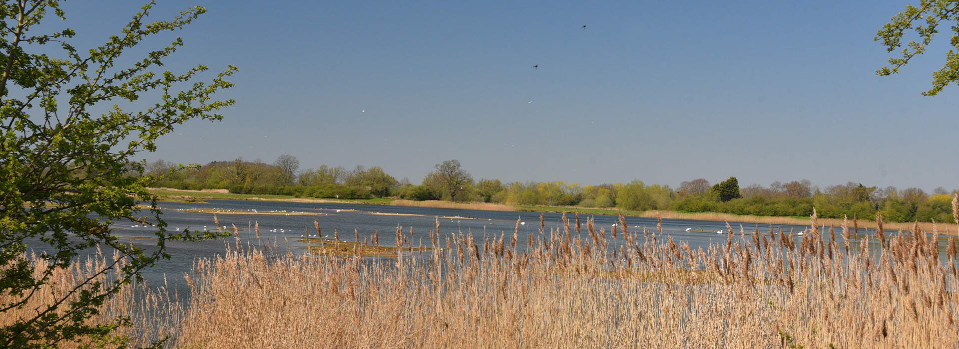 Deeping Lakes Birdwatching - Visit Lincolnshire
