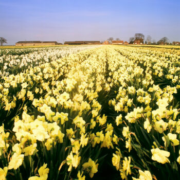 Holbeach - Visit Lincolnshire