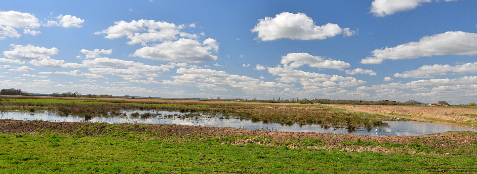Willow Tree Fen Birdwatching - Visit Lincolnshire