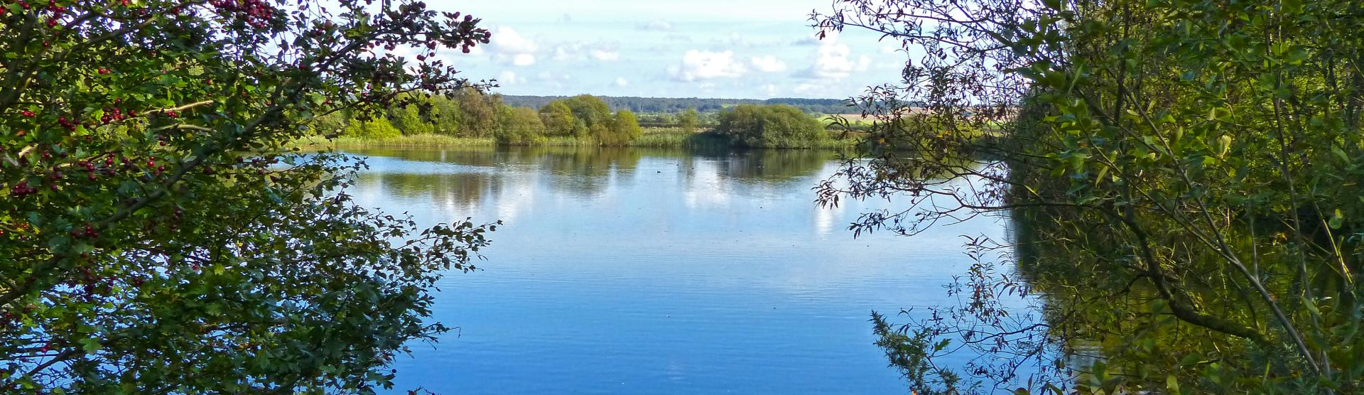 Messingham Sand Quarry Nature Reserve - Visit Lincolnshire