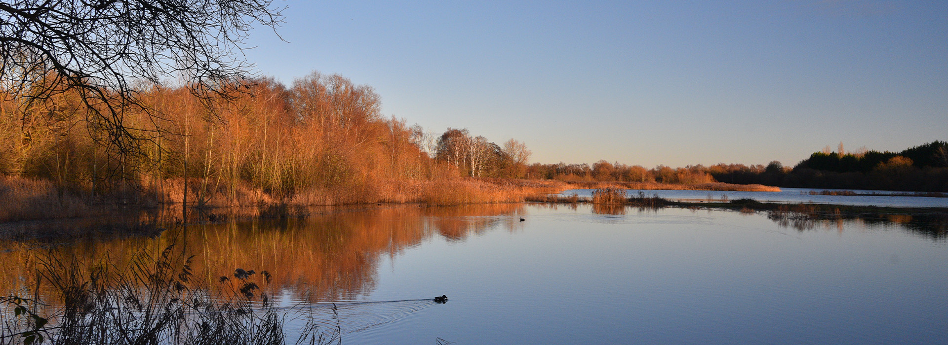 Whisby Nature Park Birdwatching - Visit Lincolnshire