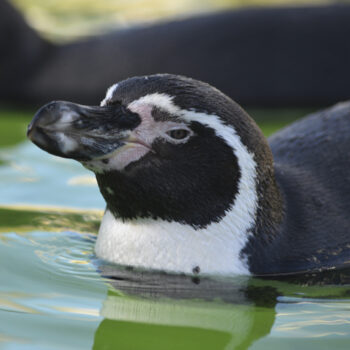 Wragby - Visit Lincolnshire