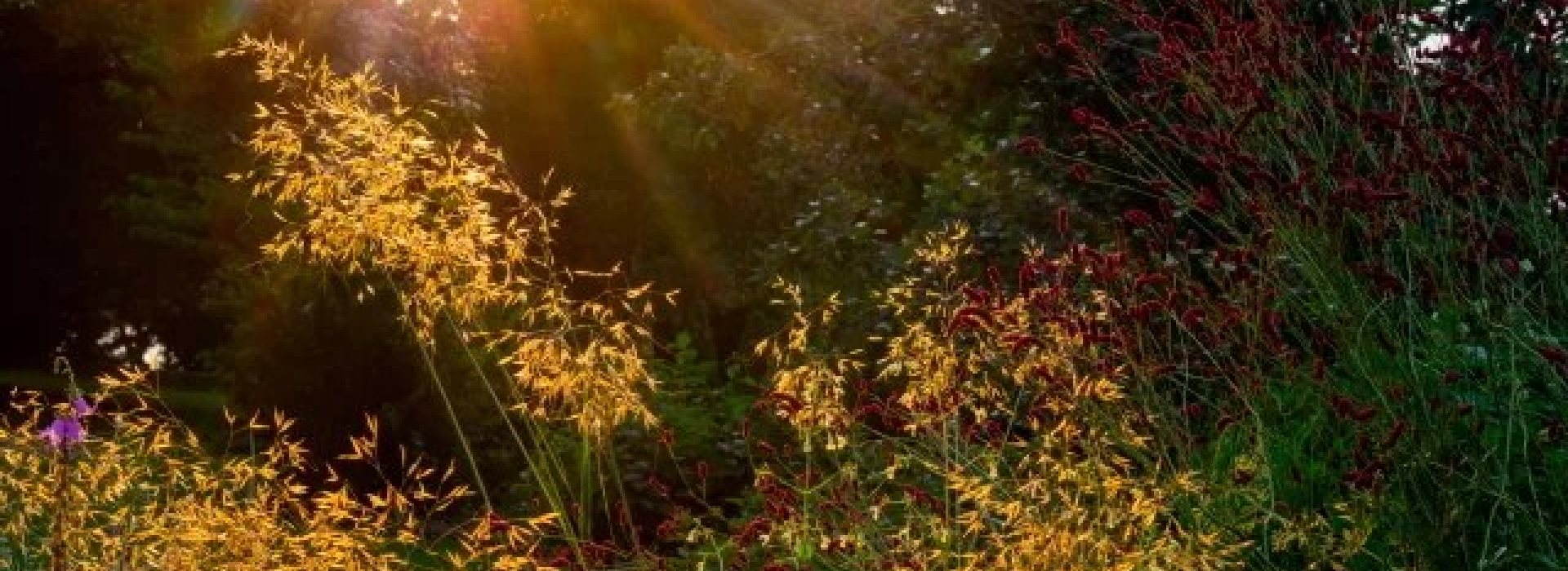 Dawn Walk in the Gardens at Burghley House - Visit Lincolnshire